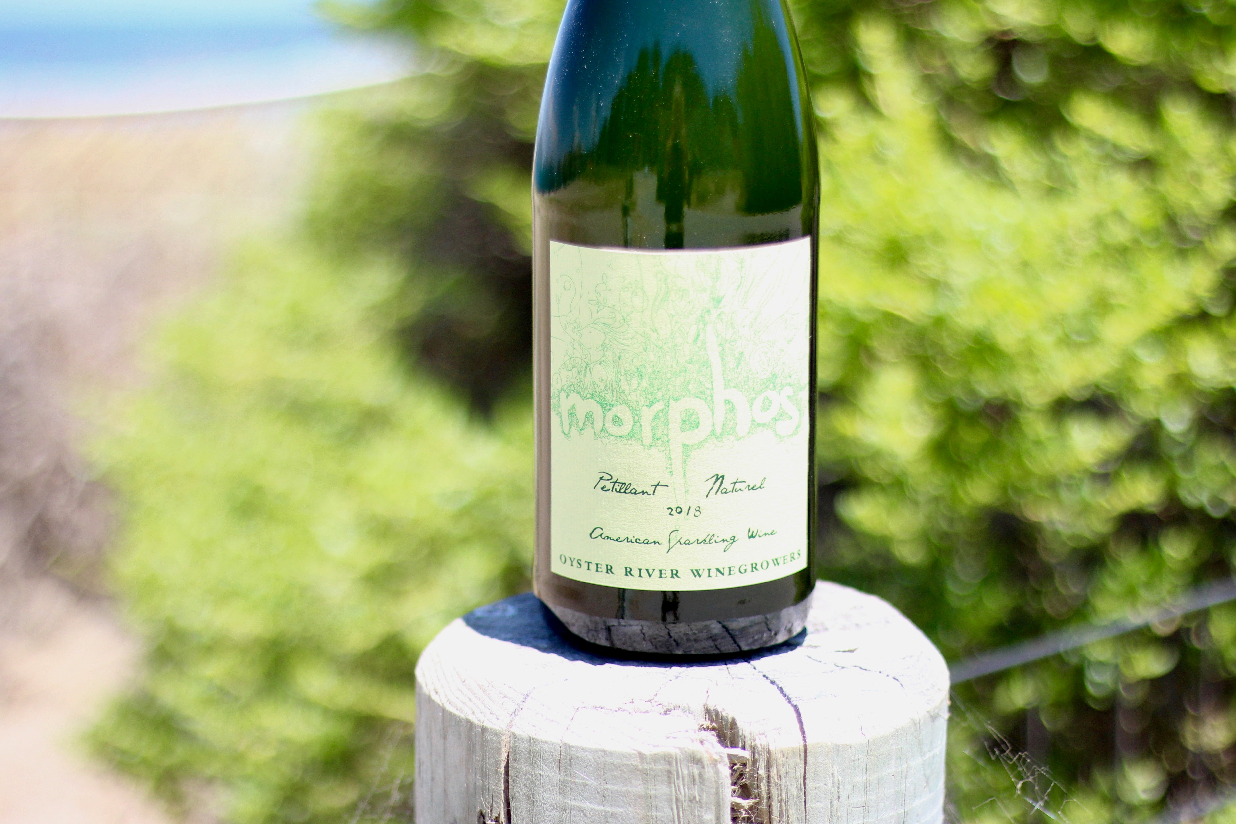 2018 Oyster River Winegrowers ‘Morphos’ Pétillant Naturel – Rock Juice
