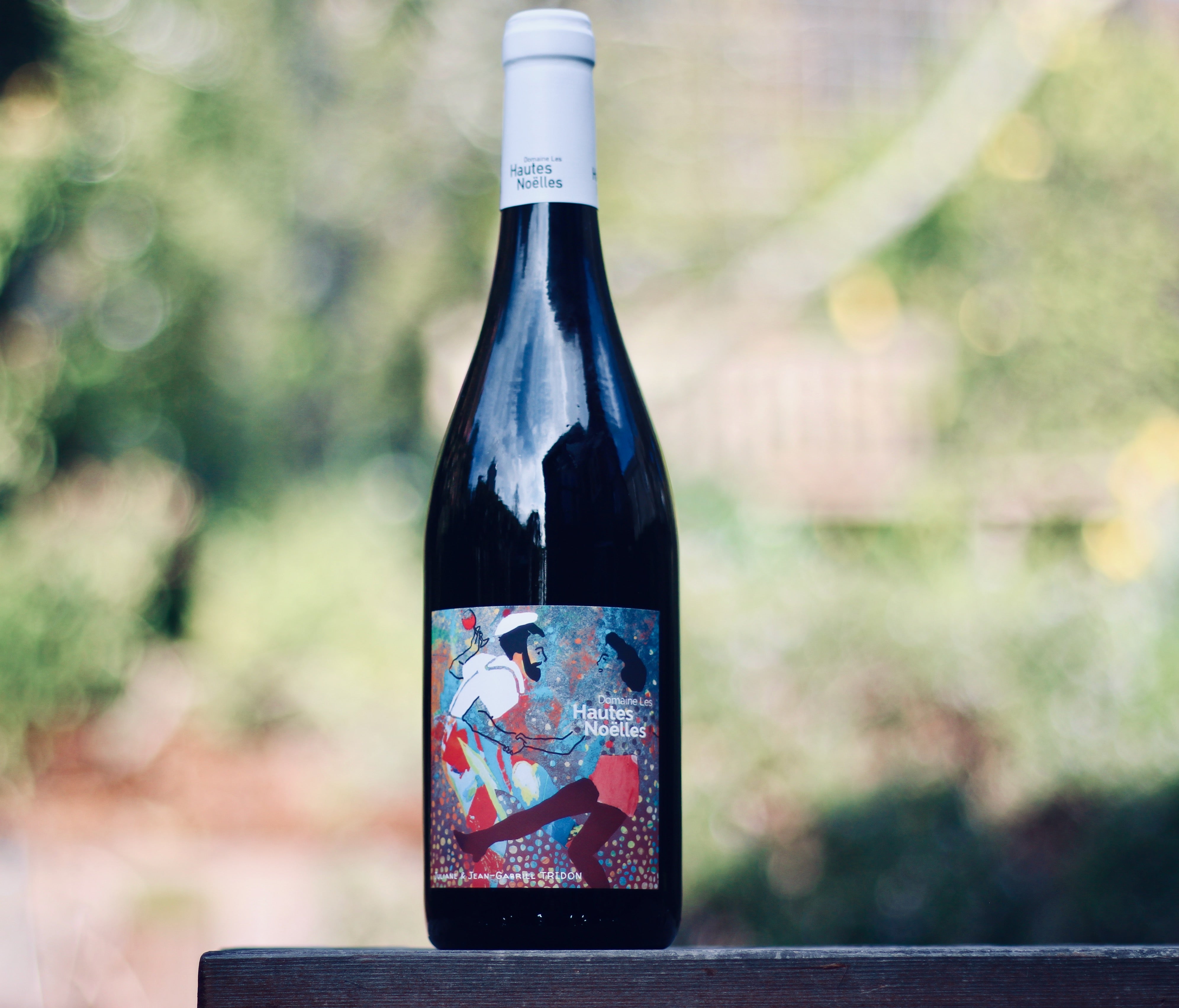 2020 Domaine les Hautes Noelles 'Voulez-Vous Gamay Avec Moi' – Rock Juice
