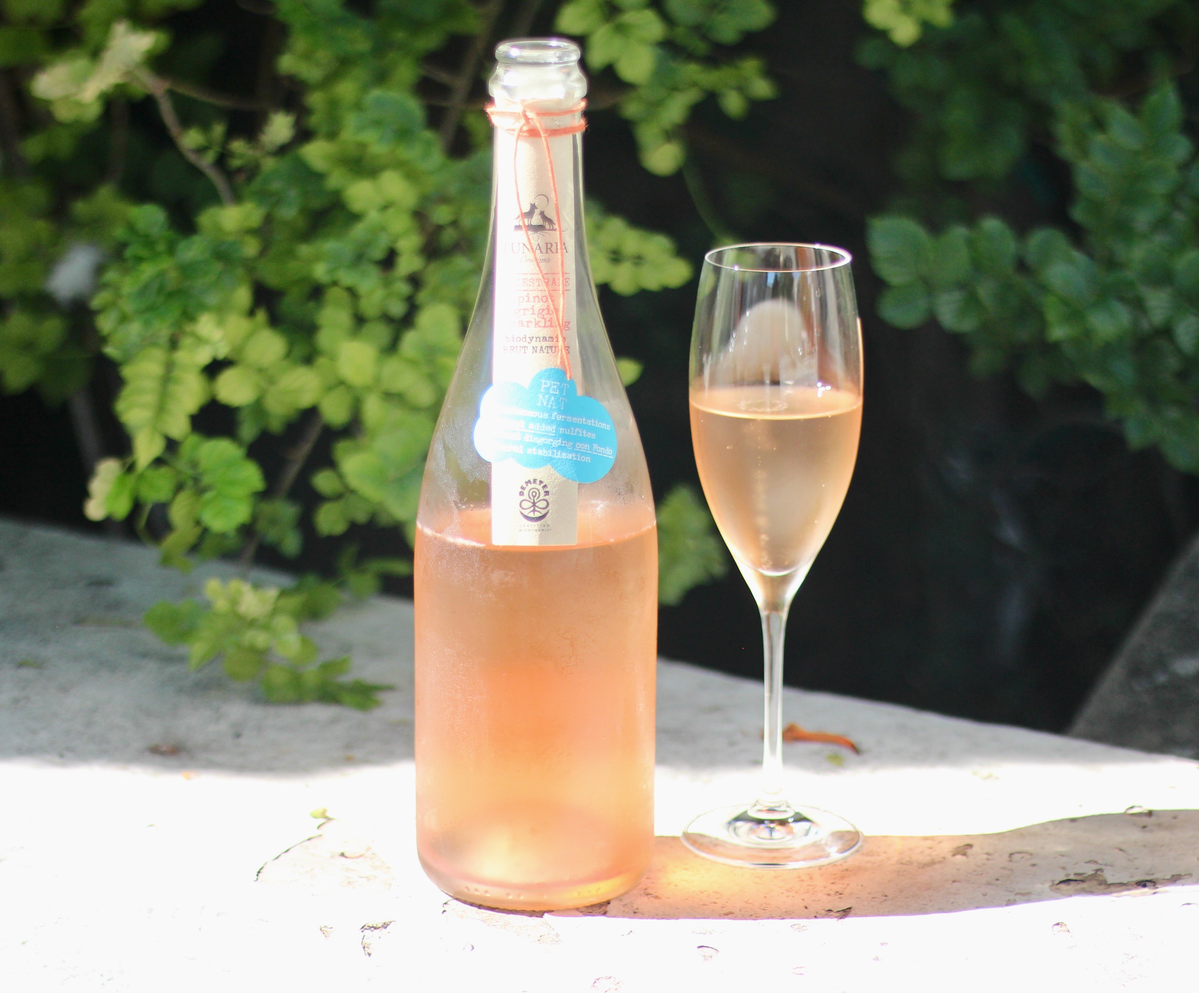 2021 Lunaria Ramoro Pinot Grigio Ancestral Method – Rock Juice